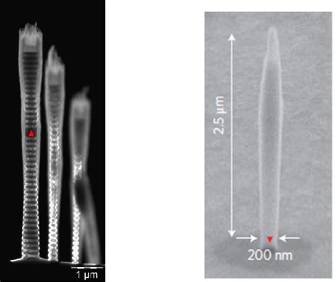 Left Transmission Electron Microscopy Image Of A Micropillar Cavity Download Scientific