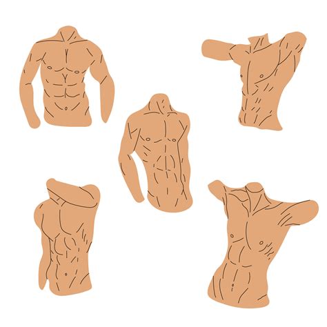 Set Muscular Torso Icons Isolated On White Background Sport And