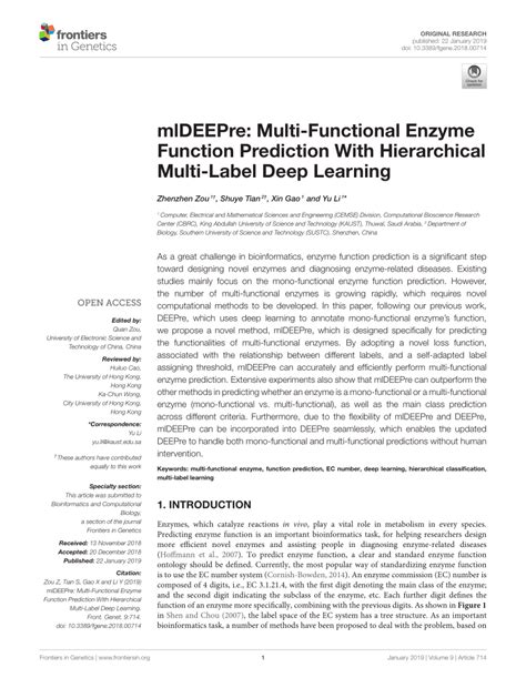 Pdf Mldeepre Multi Functional Enzyme Function Prediction With Hierarchical Multi Label Deep
