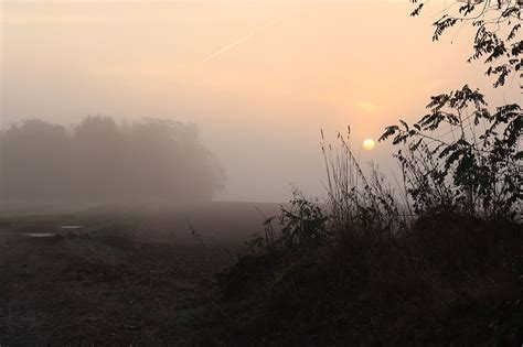 Scrolling Galleries Vanyadoing