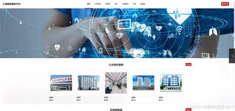 Nodejs毕设基于java的心理健康服务平台 论文程序 Csdn博客