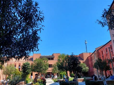 Arnela Halili 🌸 On Linkedin Tutor University Education Experience Ca Thankyou