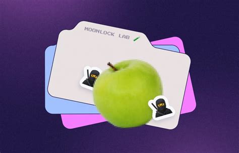 Macos Stealer Found Camouflaged In An Applebash Payload