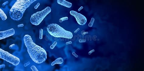 Clostridium Botulinum Bacteria Stock Illustrations 241 Clostridium
