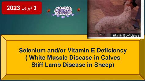 Solution Vitamin E And Or Selenium Deficiency Deficiency In Farm