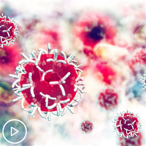 Minimal Residual Disease Mrd What Does It Mean For You Patient