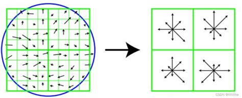 图像特征 Siftscale Invariant Feature Transform图像的特征向量 Csdn博客