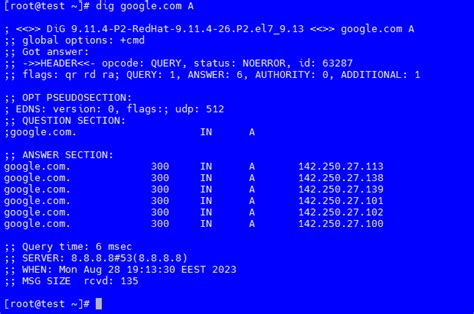 Linux Dig Command Usage And Examples Zomro