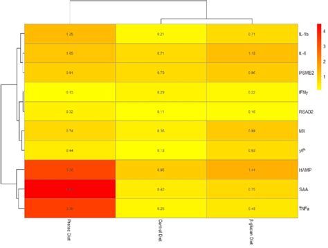 Heatmap Of Basal Expression Between Diets Qpcr Was Used To Quantify Download Scientific