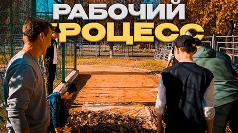 Работяги таскают листья - YouTube