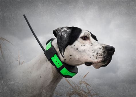 Système De Localisation Gps Tek 1 5