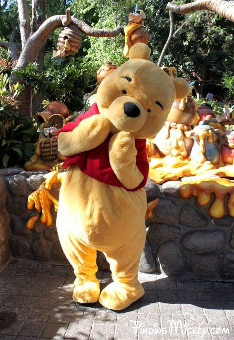 Disney World Winnie The Pooh Winnie The Pooh Mascot Winnie The Pooh