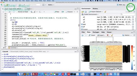 Scrna 206 聚类算法简介之pca和tsne Youtube