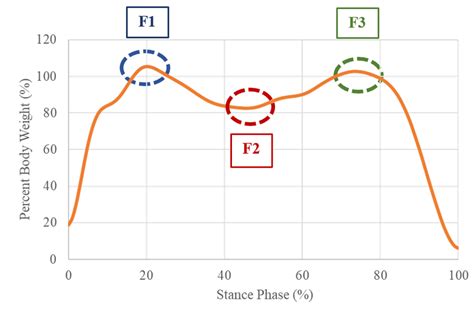 3 Loading Peaks From Vertical Ground Reaction Force F1 First Peak Download Scientific