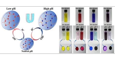 Bidirectionally Ph Responsive Zwitterionic Polymer Hydrogels With Switchable Selective