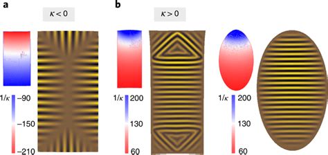 Variable Curvature Shells Ab Simulations Show Initially Negatively