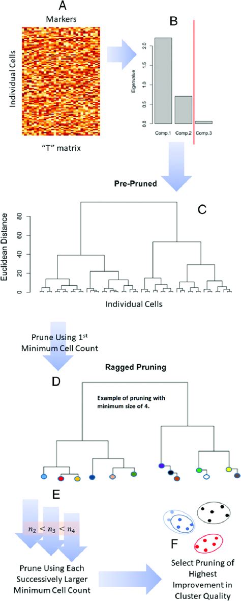 Schematic Representation Of Drp Algorithm A The Original Data Matrix