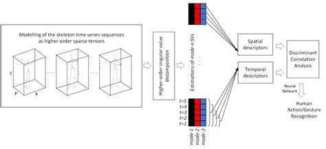 Skeleton Based Human Action Recognition Through Third Order Tensor Representation And Spatio
