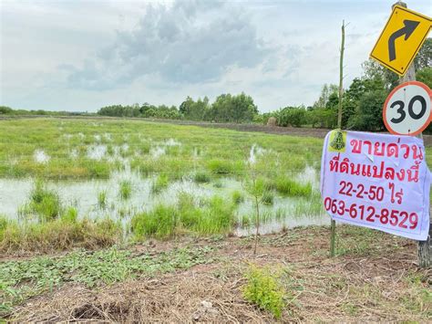 ขายที่ดิน นครนายก อำเภอเมือง ดงละคร ใกล้วัดมณีวงศ์ 1 กิโลเมตร ติดถนนใหญ่ ที่ดินร้อยแปด คอม