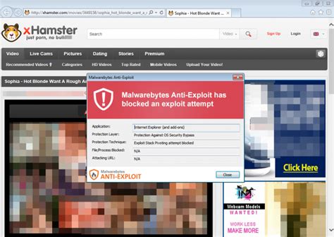 Xhamster Dogged By Malware Problems Freeones Blog Pornstars Models Xhamster Dogged By Malware Problems Freeones Blog Pornstars Models