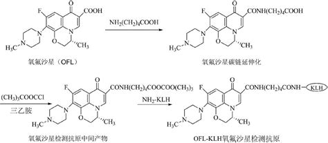 Ofloxacin Hemocyanin Coating Antigen And Preparation Method Thereof And