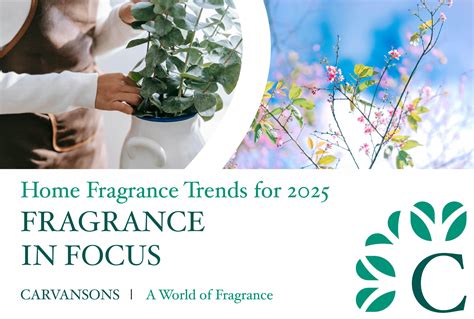 Home Fragrance Trends Best Air Freshener And Room Scents