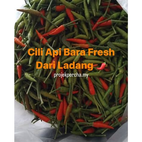 🌶️ Segar Cili Api Bara Cili Padi Bara Fresh Direct Ladang Chili