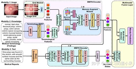 多模态记忆transformer 医学图像报告生成 知乎