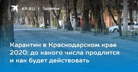 Карантин в Краснодарском крае 2020 до какого числа продлится и как будет действовать Kp Ru