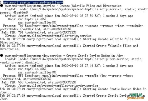 使用systemd tmpfiles在linux中自动清除未使用的临时文件 linux教程 云网牛站