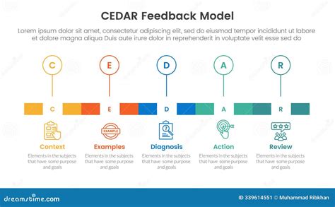 Cedar Feedback Model Infographic Template Banner With Funnel Cutted Or