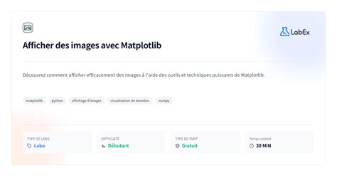 Maîtriser Laffichage Dimages Avec Matplotlib Labex