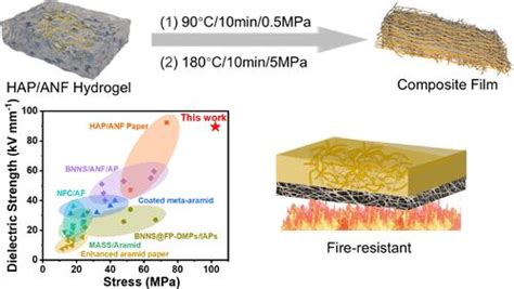 多功能、长度定制的羟基磷灰石纳米线 芳纶纳米纤维复合材料：对电绝缘应用的影响 Acs Applied Nano Materials X Mol