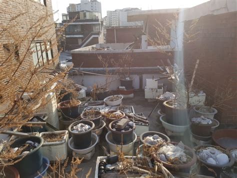 옥상화분버리기 방치된폐기물처리 계단 주차장쓰레기 폐가구처리 베란다치우기 화단철거 네이버 블로그