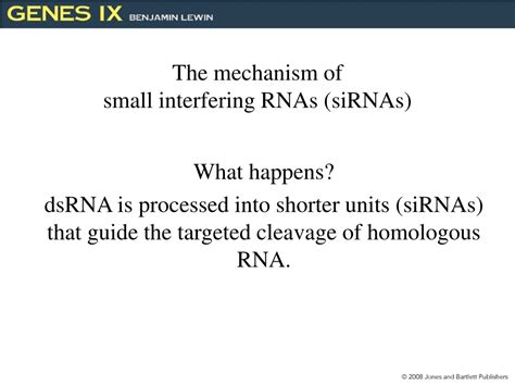 PPT 1 Regulatory RNA CRISPR Cas System RNA Interference And Micro RNA 2 Retroviruses