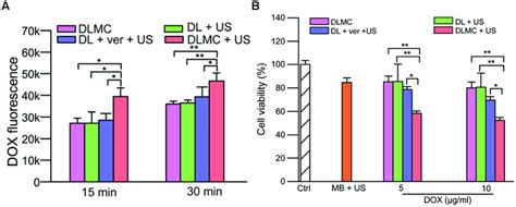 A Intracellular Doxorubicin Dox Concentration In Mcf 7 Adr Cells 15