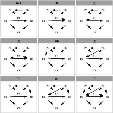 path models depicting relationships among body temperature and