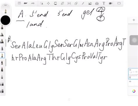 Solved A What Is The Sequence Of The Dna That Was Used In The Sequencing Reaction Shown In