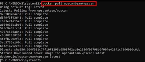 Scan Wordpress Websites With Wpscan For Security Vulnerability