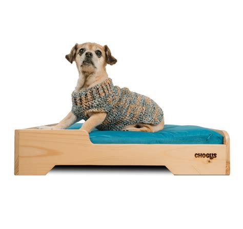 Cama Para Perro Pequeño Talla S En Choguspe 🎉