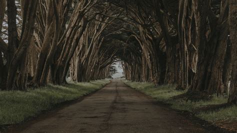 Intimacy Identity Inheritance Living Waters Online Intimacy Identity Inheritance Living Waters Online