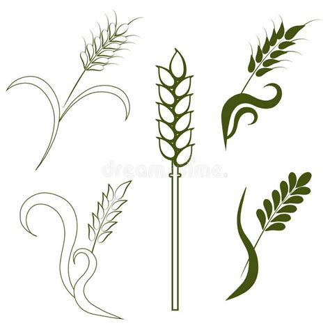 Graphic Wheat Stock Illustrations 74349 Graphic Wheat Stock