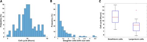 Deepsea Is An Efficient Deep Learning Model For Single Cell