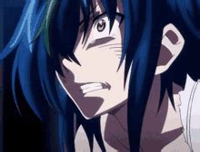 Xenovia Cat  Xenovia Cat Discover And Share S