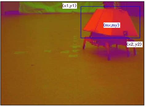 example camera view showing center of mass and bounding box coordinate