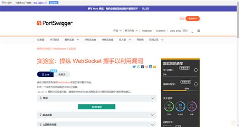 Burpsuit 靶场websocketsbp靶场websocket Csdn博客