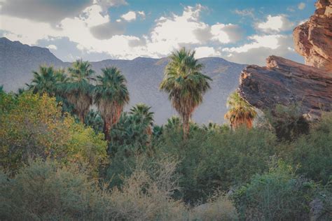 Is There A Real Life Pride Rock? Yes, Here's How You Can Visit ...