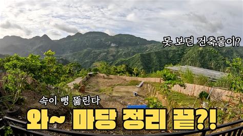 한국에 2 3주 다녀왔더니 산골 게스트하우스에 생긴 변화 잔디건축물병아리고구마 Youtube