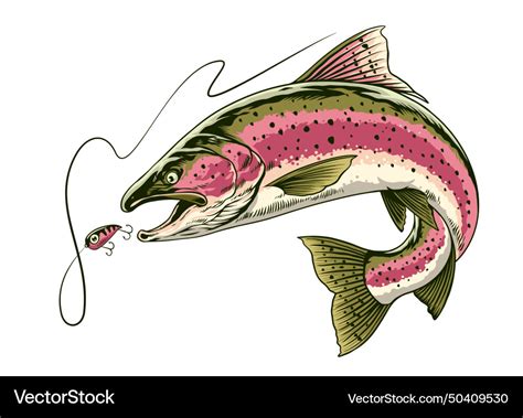 Jumping Rainbow Trout Royalty Free Vector Image