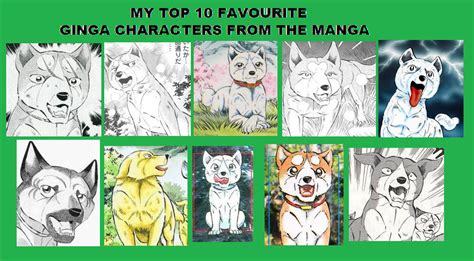 Top 10 Ginga Manga Only Characters By Steeleaddict On Deviantart